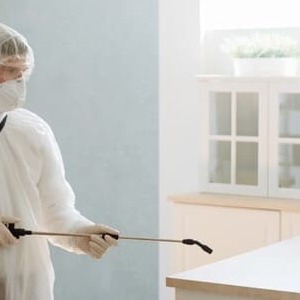 Πότε γίνεται η απεντόμωση - e-apolymanseis.gr